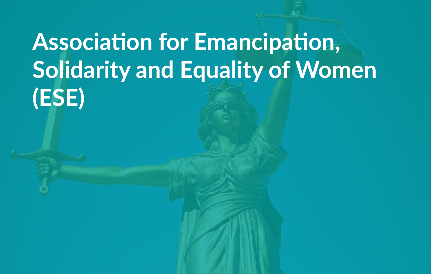 Ensure Equal Access to Justice in the Field of Social and Economic ...