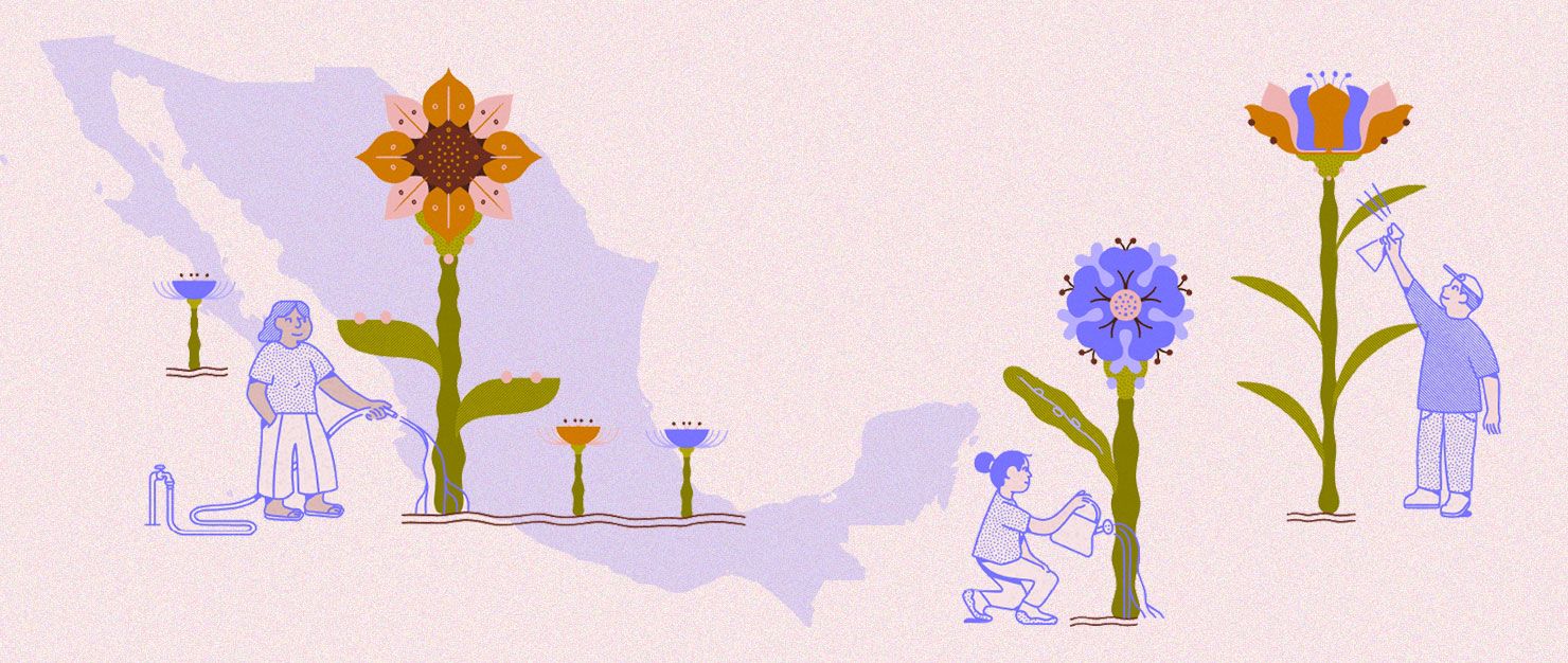 Mexican States Face Steep Rule of Law Challenges, but New Data Reveals ...